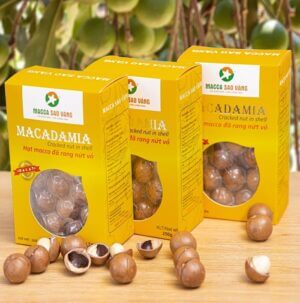 Quy trình xuất khẩu macca Việt Nam ra thị trường quốc tế