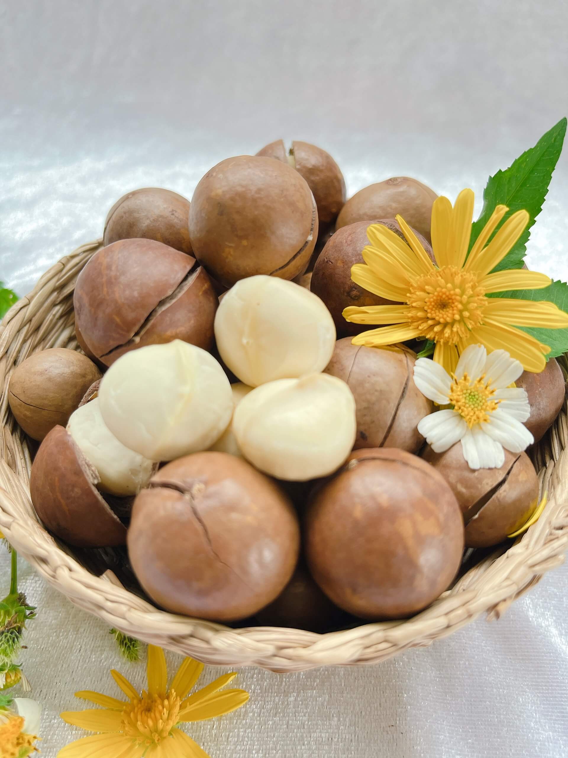 Địa chỉ cung cấp hạt macca ở TPHCM giá sỉ đảm bảo chất lượng